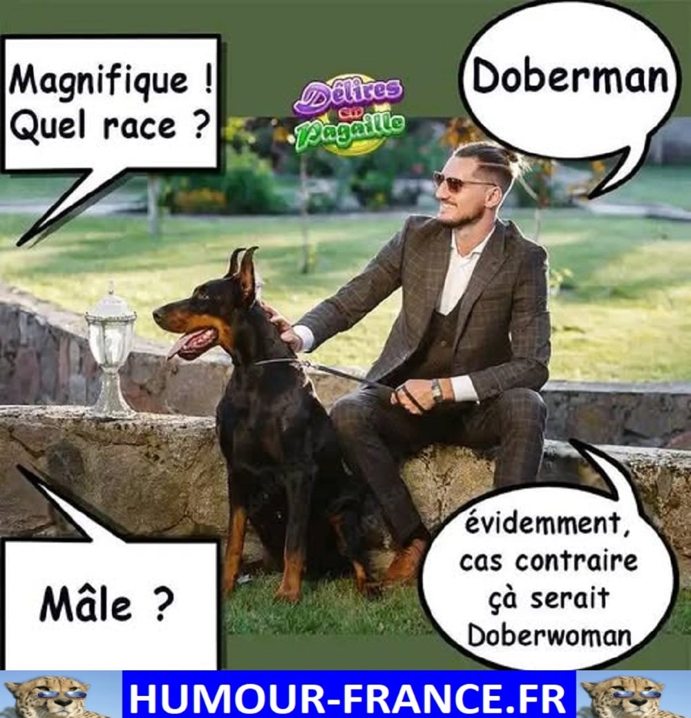 Magnifique ! Quelle race ? - Humour-France.fr