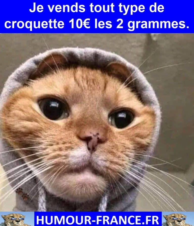 Je vends tout type de croquette 10€ les 2 grammes. - Humour-France.fr