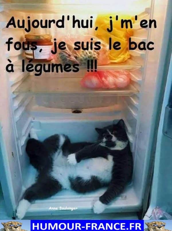 Aujourd’hui, je m’en fous, je suis le bac à légumes !!! - Humour-France.fr