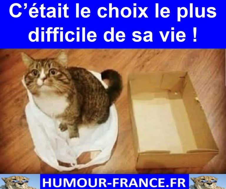 C'était le choix le plus difficile de sa vie ! - Humour-France.fr