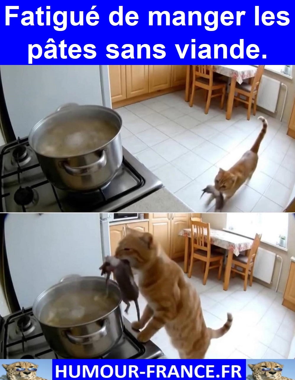 Fatigué de manger les pâtes sans viande. - Humour-France.fr