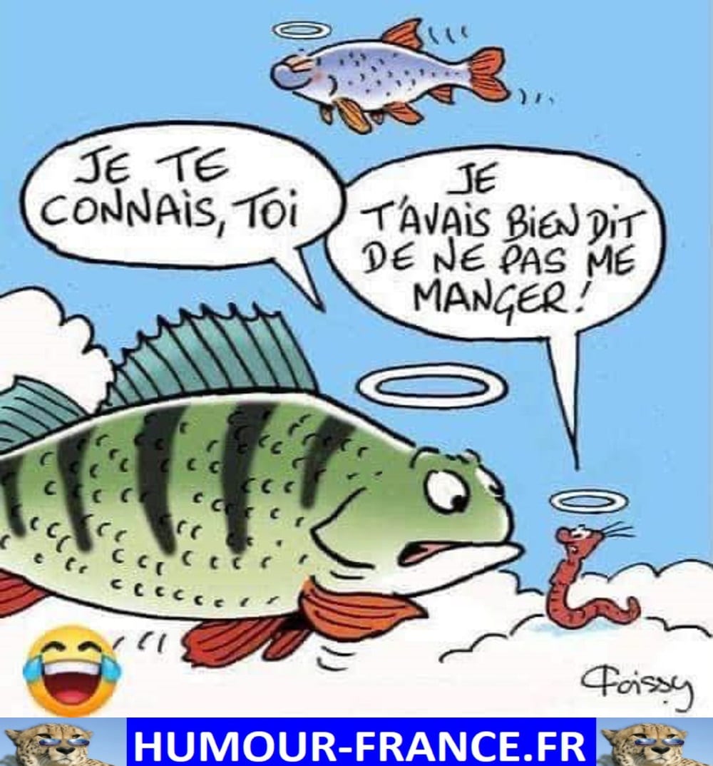 Je te connais, toi. - Humour-France.fr