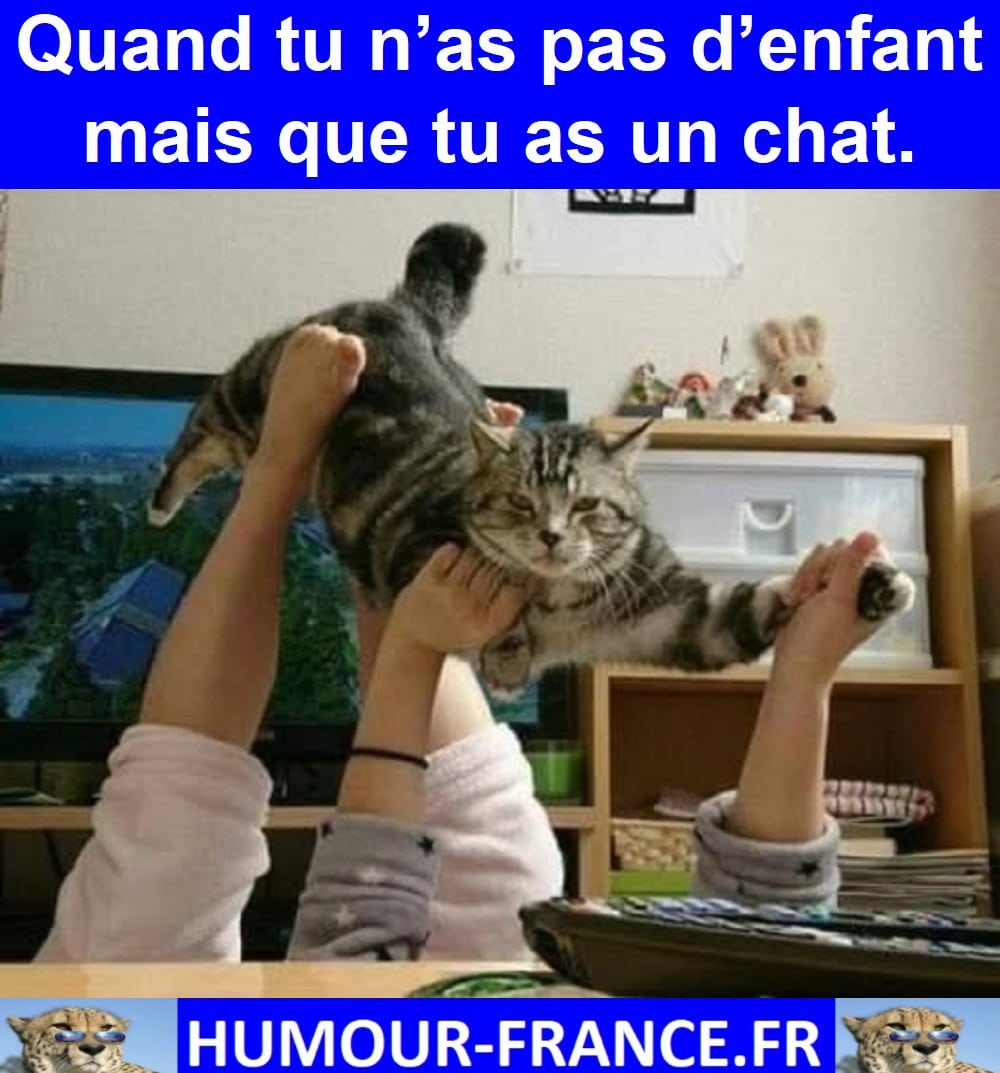 Quand tu n’as pas d’enfant mais que tu as un chat. - Humour-France.fr