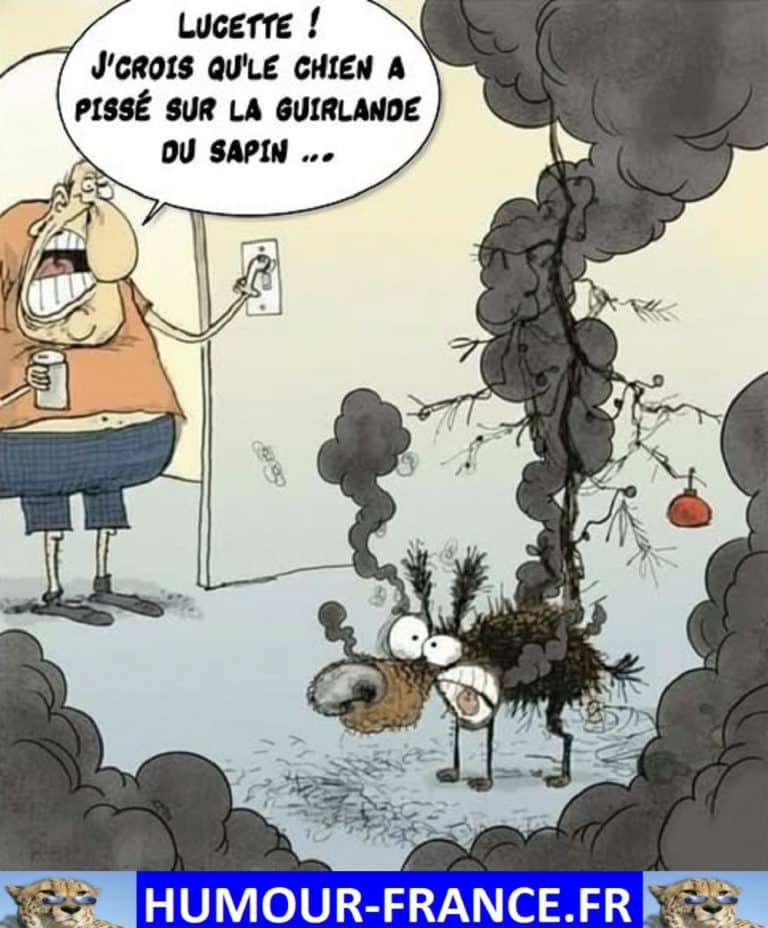 Lucette ! Je crois que le chien a pissé sur la guirlande du sapin ...