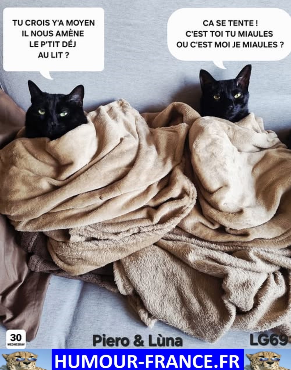 Tu crois y’a moyen il nous amène le petit déj au lit ? - Humour-France.fr